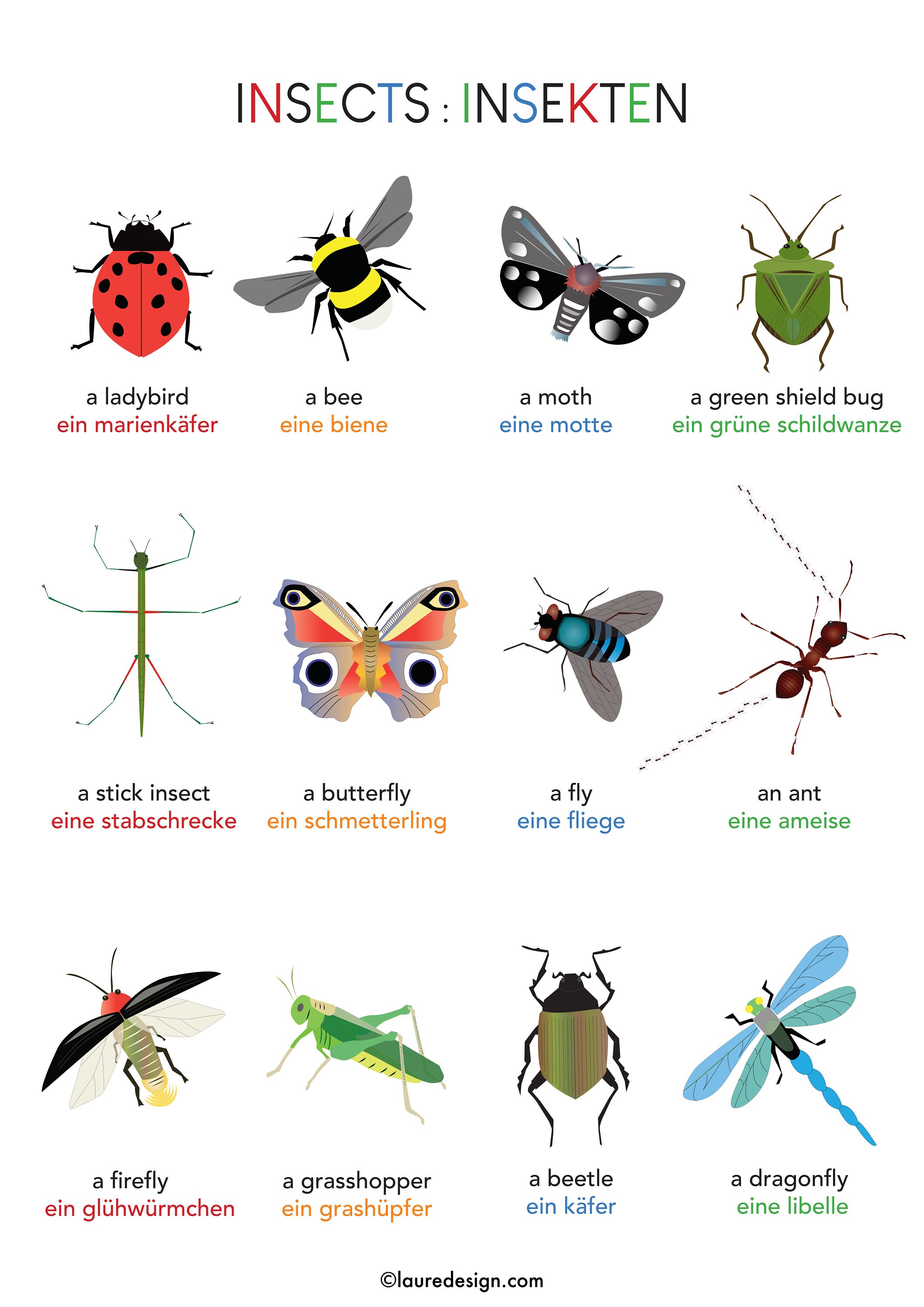 Kids Gift Bilingual Bilingual Bugs Bugs Poster Insects - Etsy UK