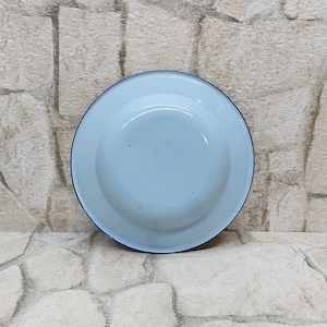 Vintage Enamelware Plate: Blue Rim Farmhouse Decor - Etsy