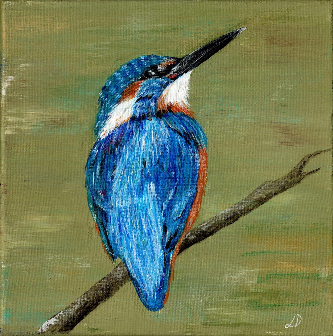 Hand Painted Kingfisher on Canvas - Etsy