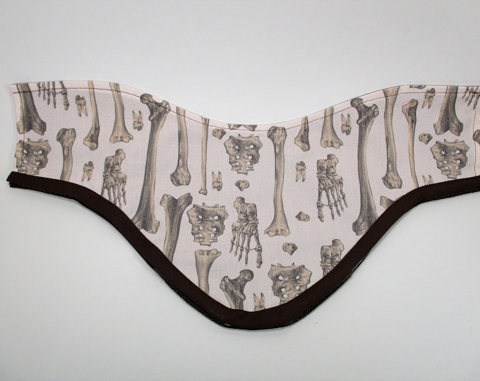 Anatomy Bones on Cream Orthopedic Novelty Cotton Fabric - Etsy