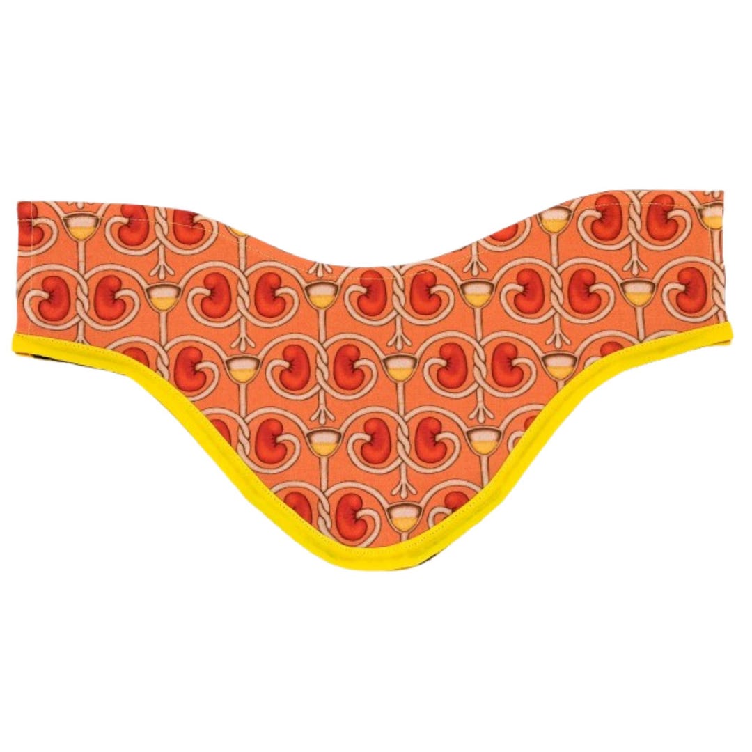 Urology Thyroid Shield Covers, Kidneys and Bladders, Novelty Lead ...