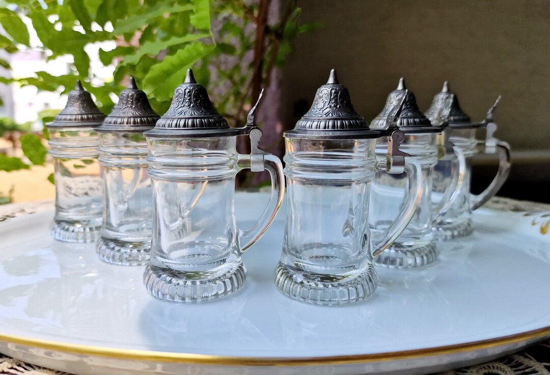 BMF German Set of 6 Shot Glasses - Mini Beer Mugs - Glass Beer Tankard ...