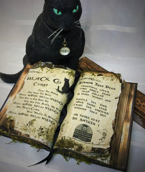 Hocus Pocus SPELL BOOK Black Cat Curse Summon the Dead - Etsy