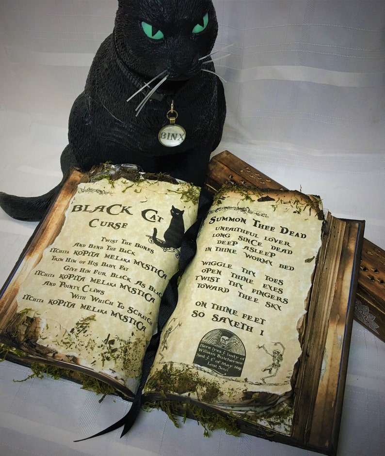 Hocus Pocus SPELL BOOK Black Cat Curse Summon the Dead - Etsy