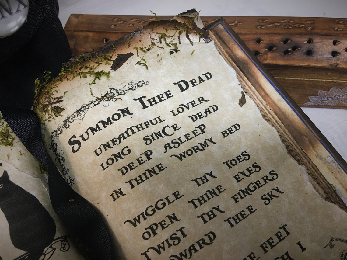 Hocus Pocus SPELL BOOK Black Cat Curse Summon the Dead - Etsy