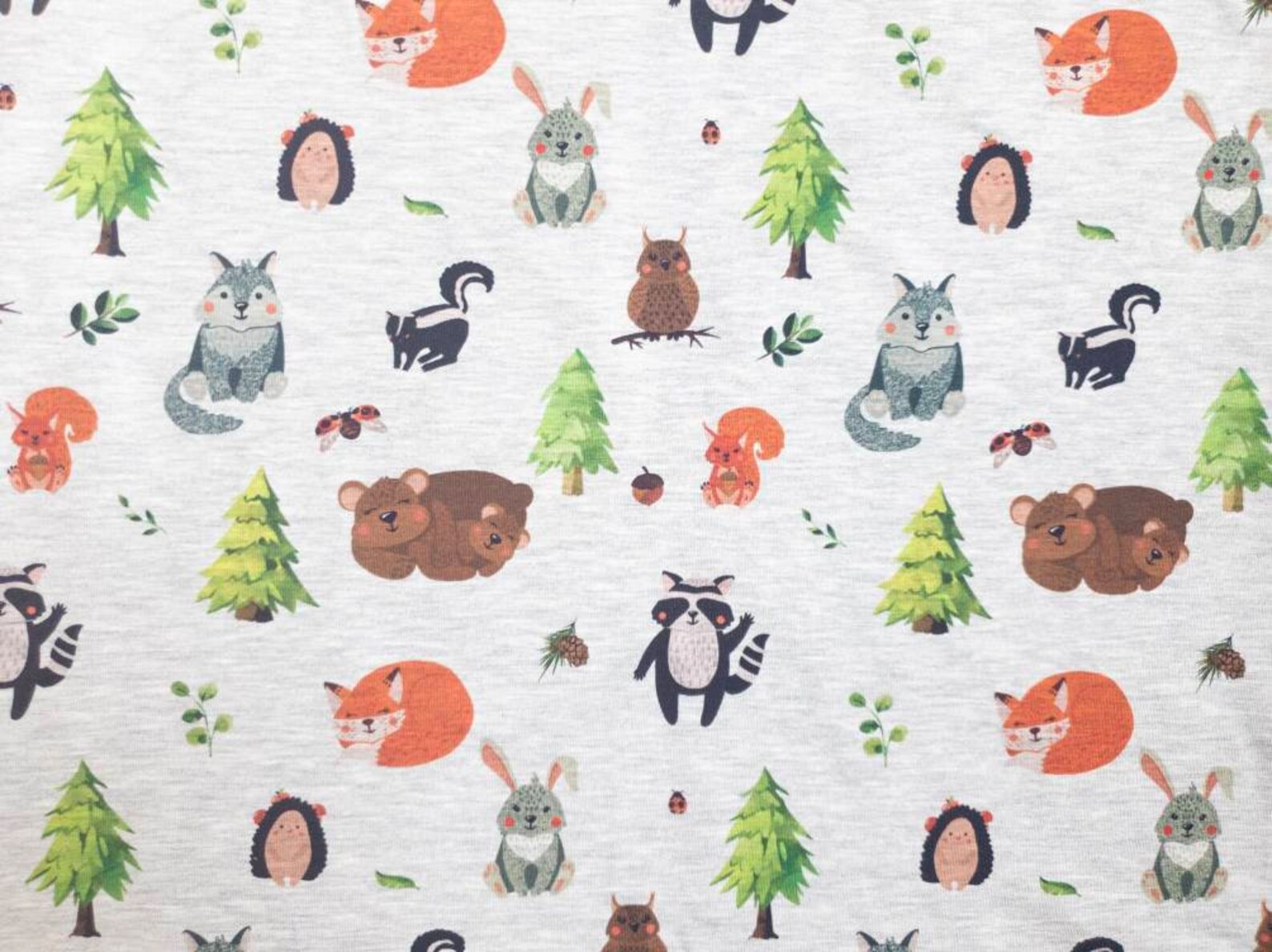 Woodland Animals Design Newborn Boy First Outfit With Hat - Etsy