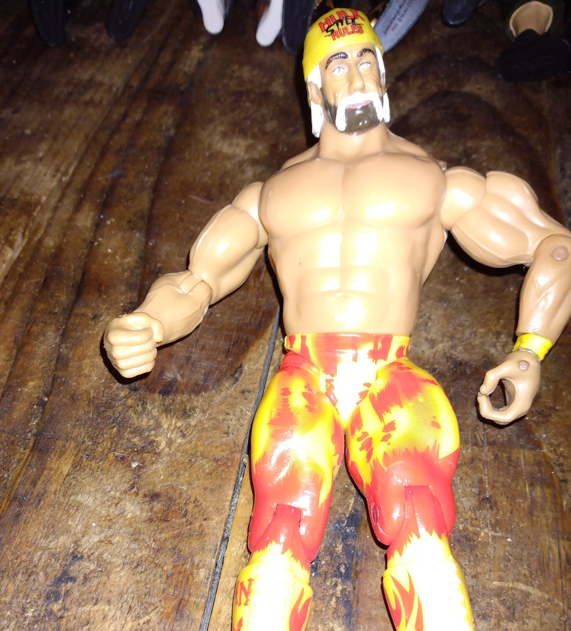 Hulk Hogan 2003