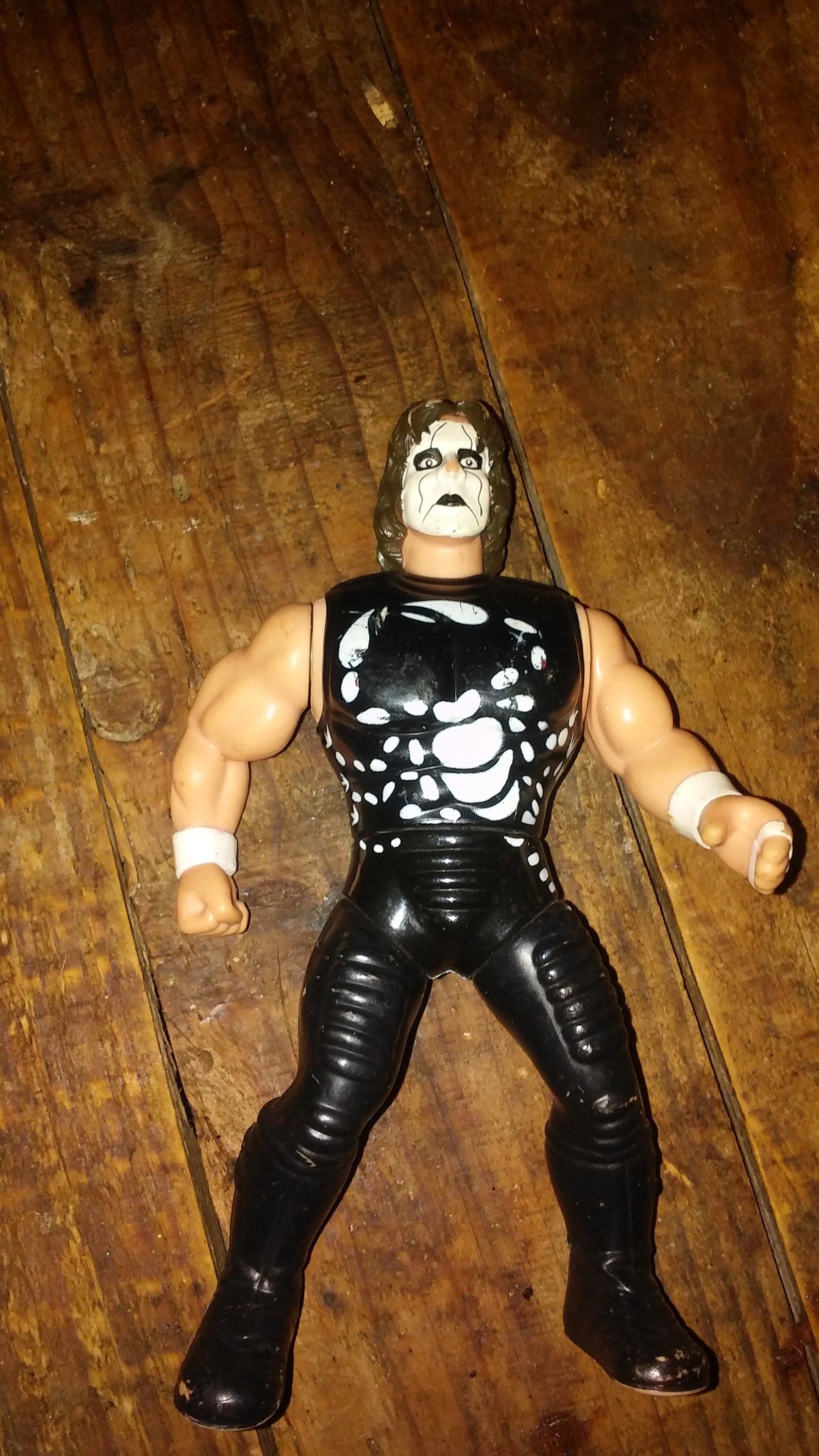 Wcw Sting 1998