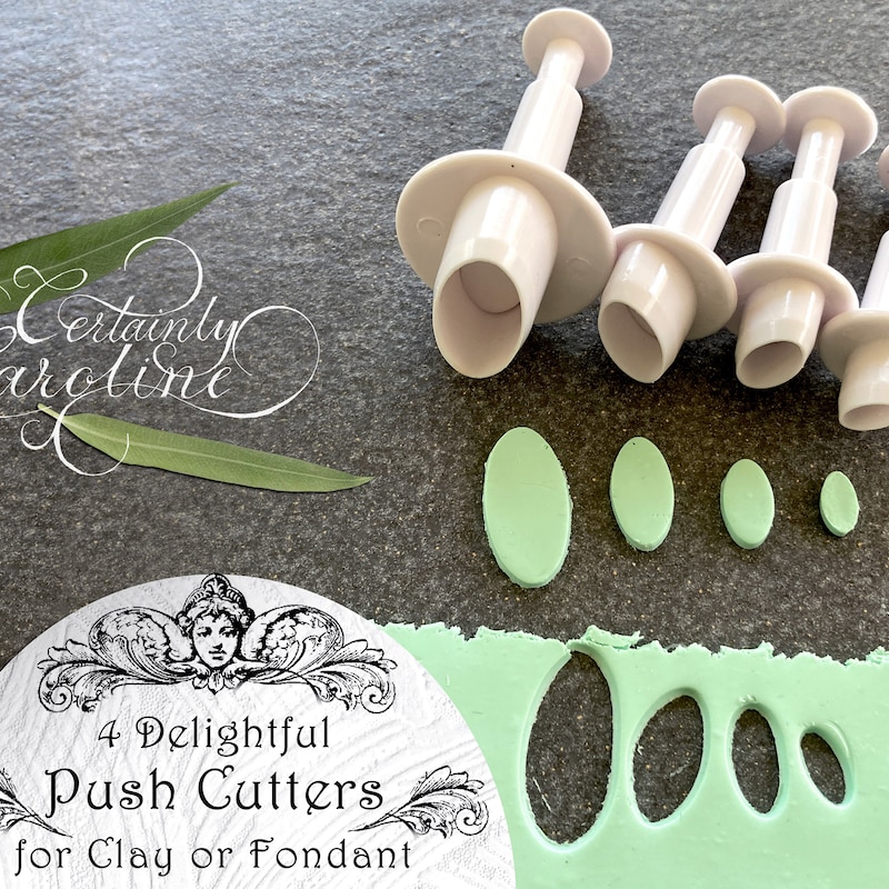 Flower Plunger Cutter - Etsy
