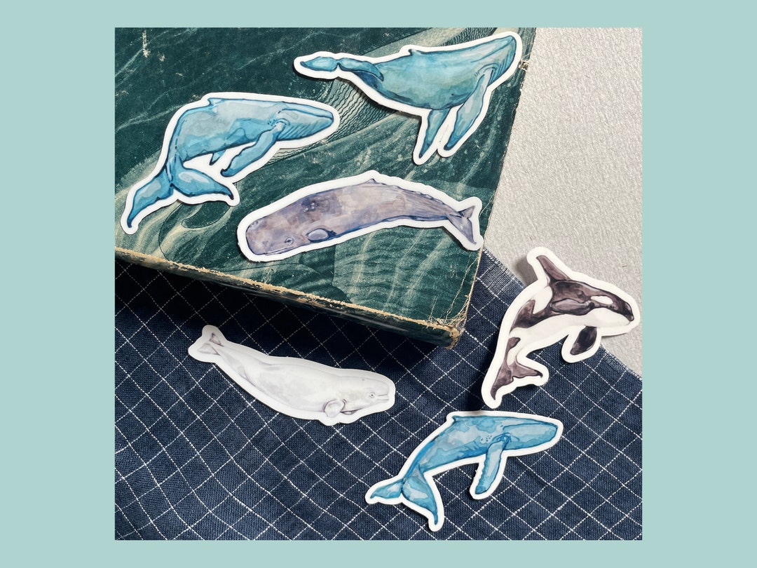 Six Whale Stickers- Waterproof, Durable, Die Cut Vinyl Stickers. Orca ...