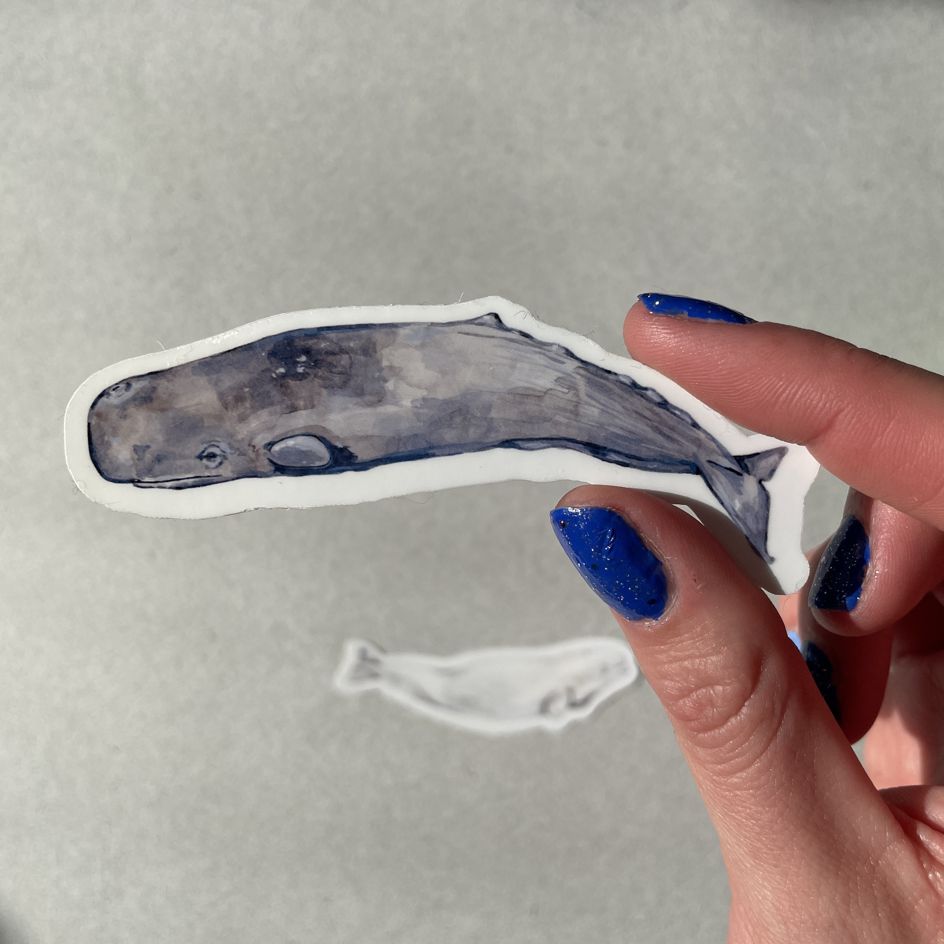 Sperm Whale Vinyl Sticker Waterproof and Durable Die Cut - Etsy