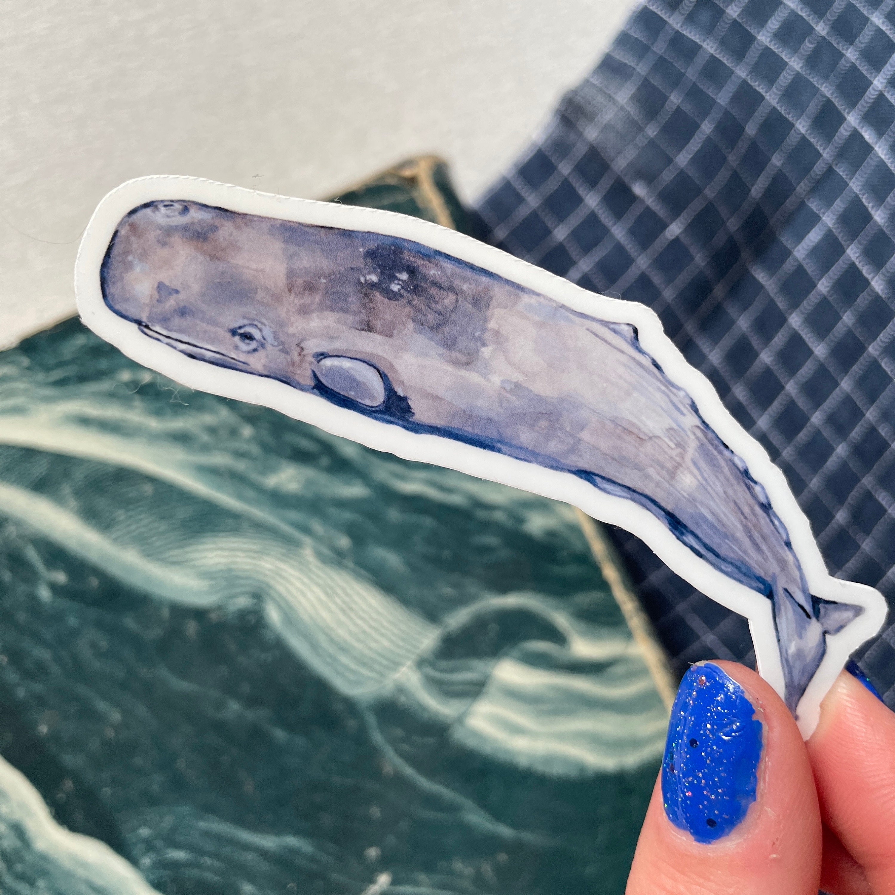 Sperm Whale Vinyl Sticker Waterproof and Durable Die Cut - Etsy