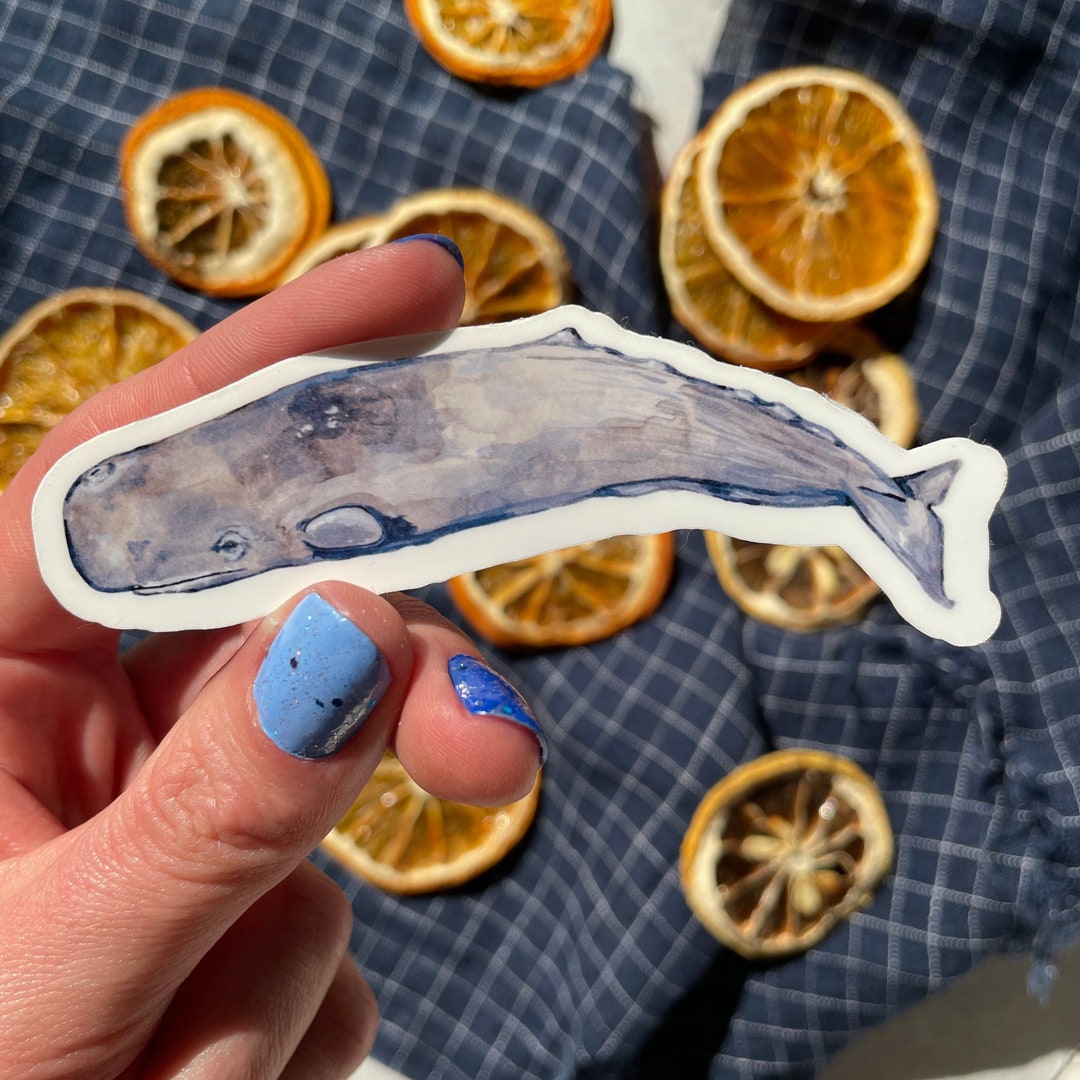 Sperm Whale Vinyl Sticker- Waterproof and Durable Die Cut Sticker ...