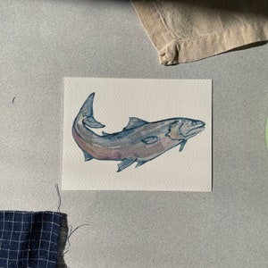 Salmon Fish Postcards- Set of 4 Fishing Cards, Heavy Weight Watercolour ...