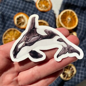 Orca Whale Vinyl Sticker- Waterproof and Durable, Die Cut Killer Whale ...