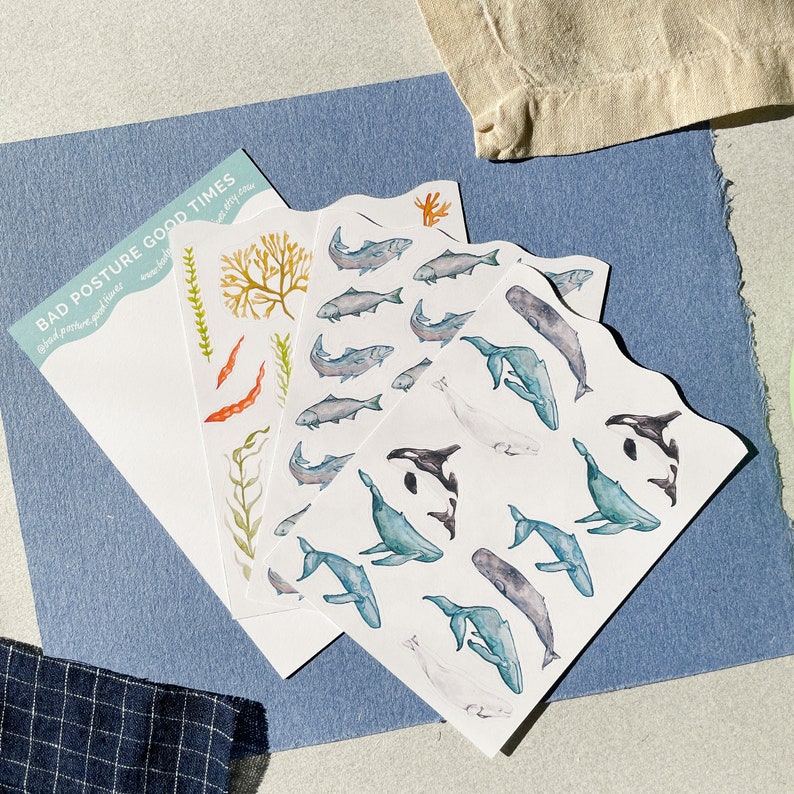 Ocean Sicker Pack- 54 Stickers, 3 Pages of Kiss-cut Stickers, Whales ...