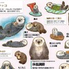 Animal Assortment Stickers Japanese Stickers Reference C6829-32 - Etsy