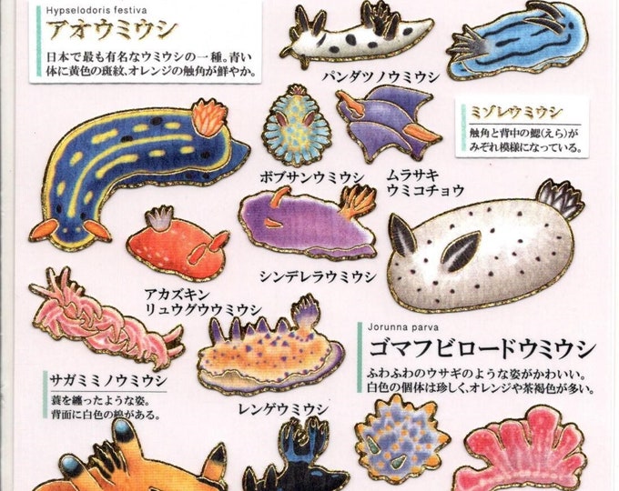 Sea Slug Stickers - Paper Stickers - Kamio - Reference #A11673 - Etsy