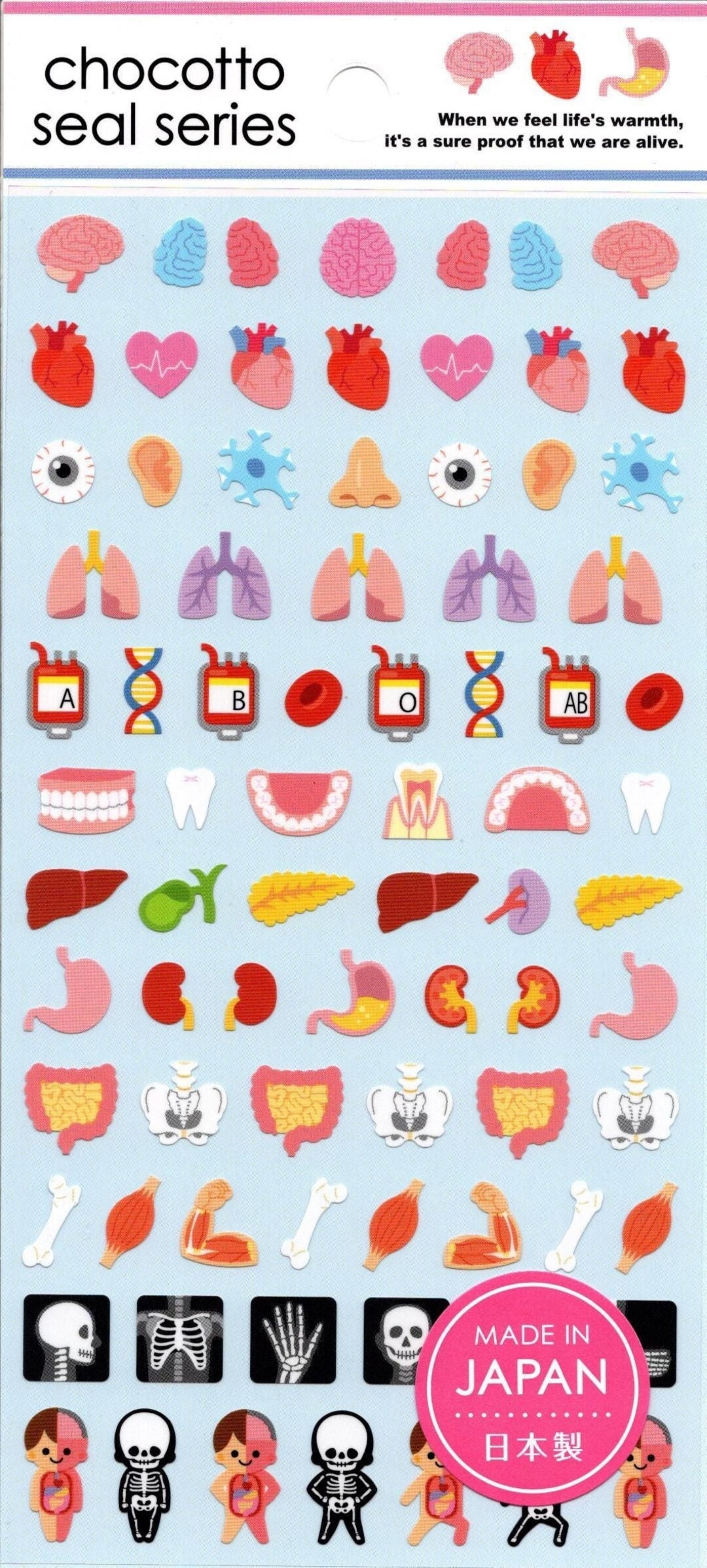 Human Body Stickers - Chocotto Stickers - Etsy