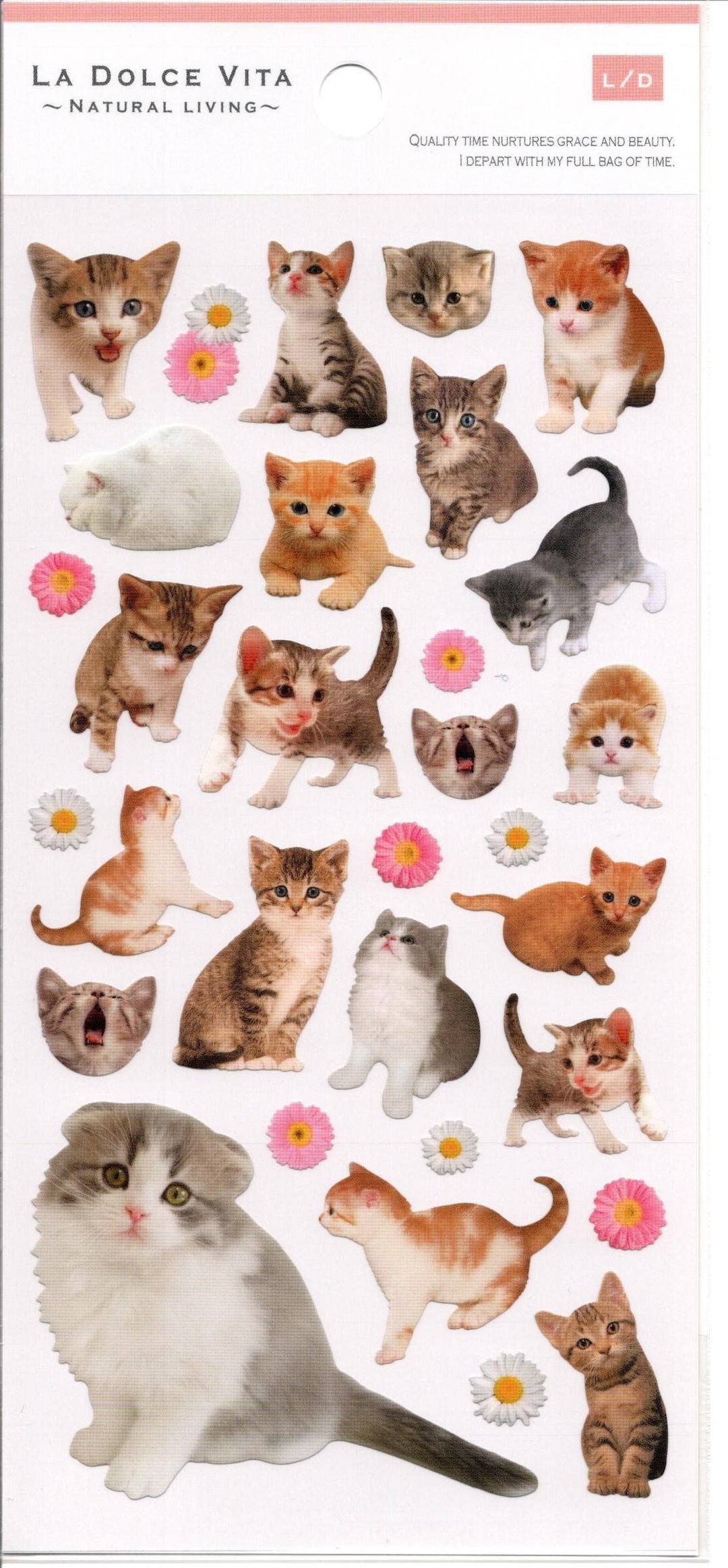 Cat Stickers - Kitten Stickers - La Dolce Vita Mind Wave Stickers ...