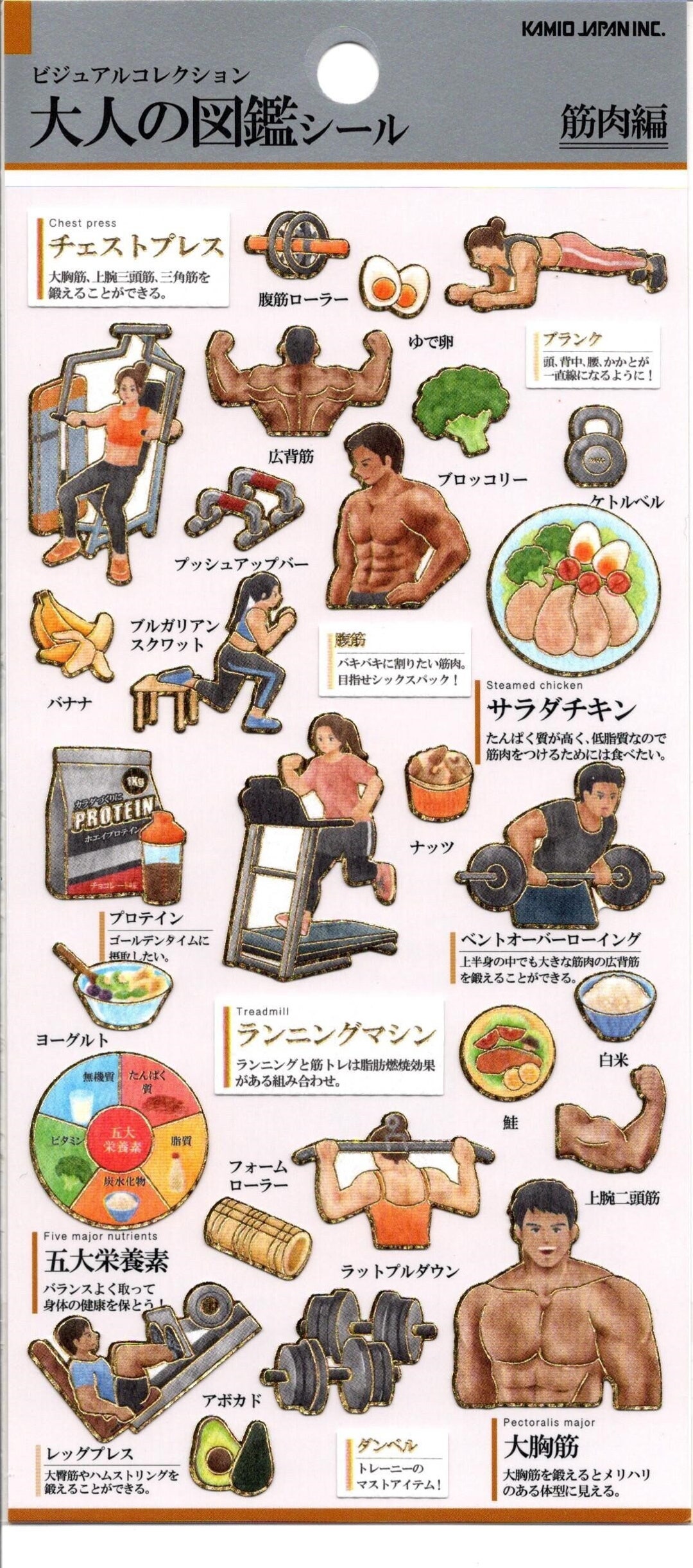 Muscle Stickers - Gym Stickers - Sports Stickers - Paper Stickers ...