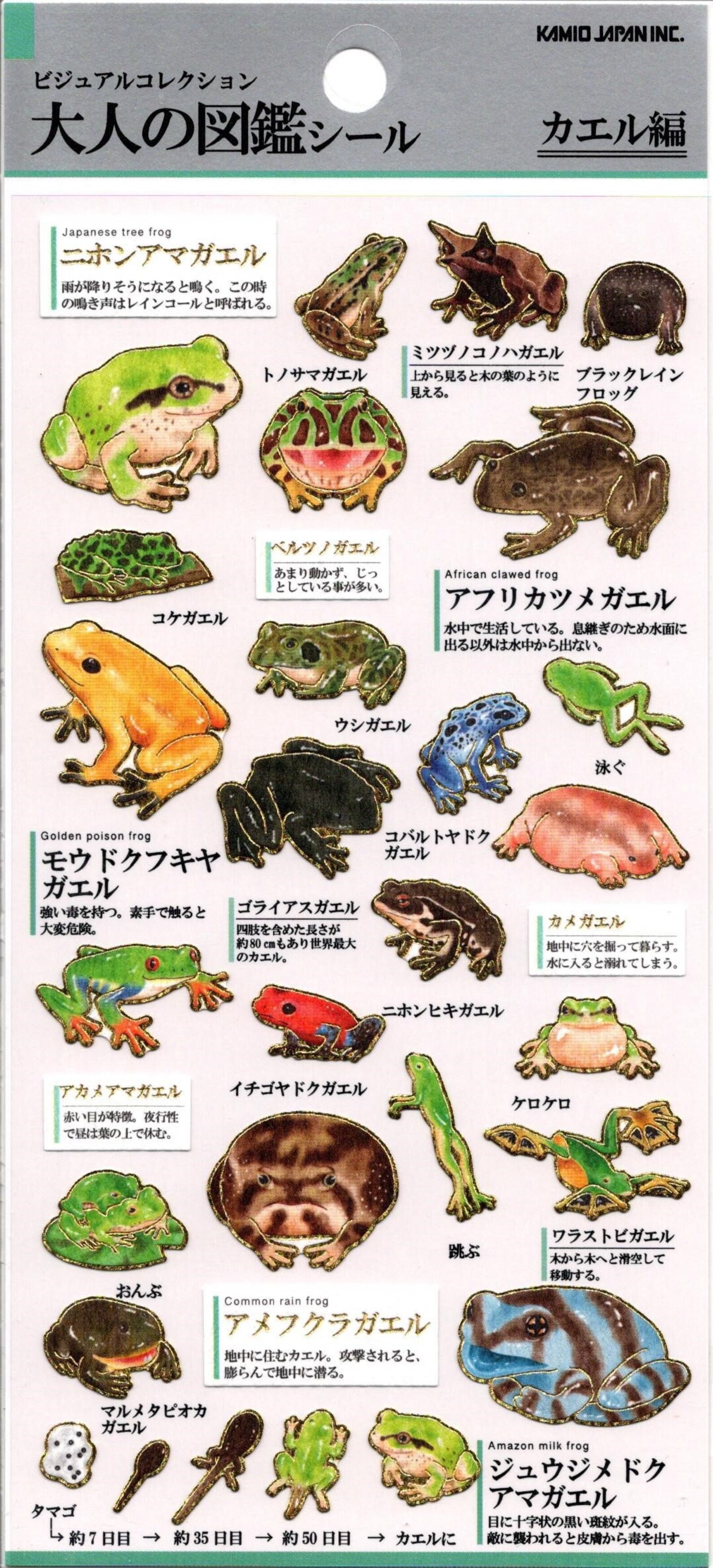 Frog Stickers Paper Stickers Kamio Reference A5681-82 - Etsy