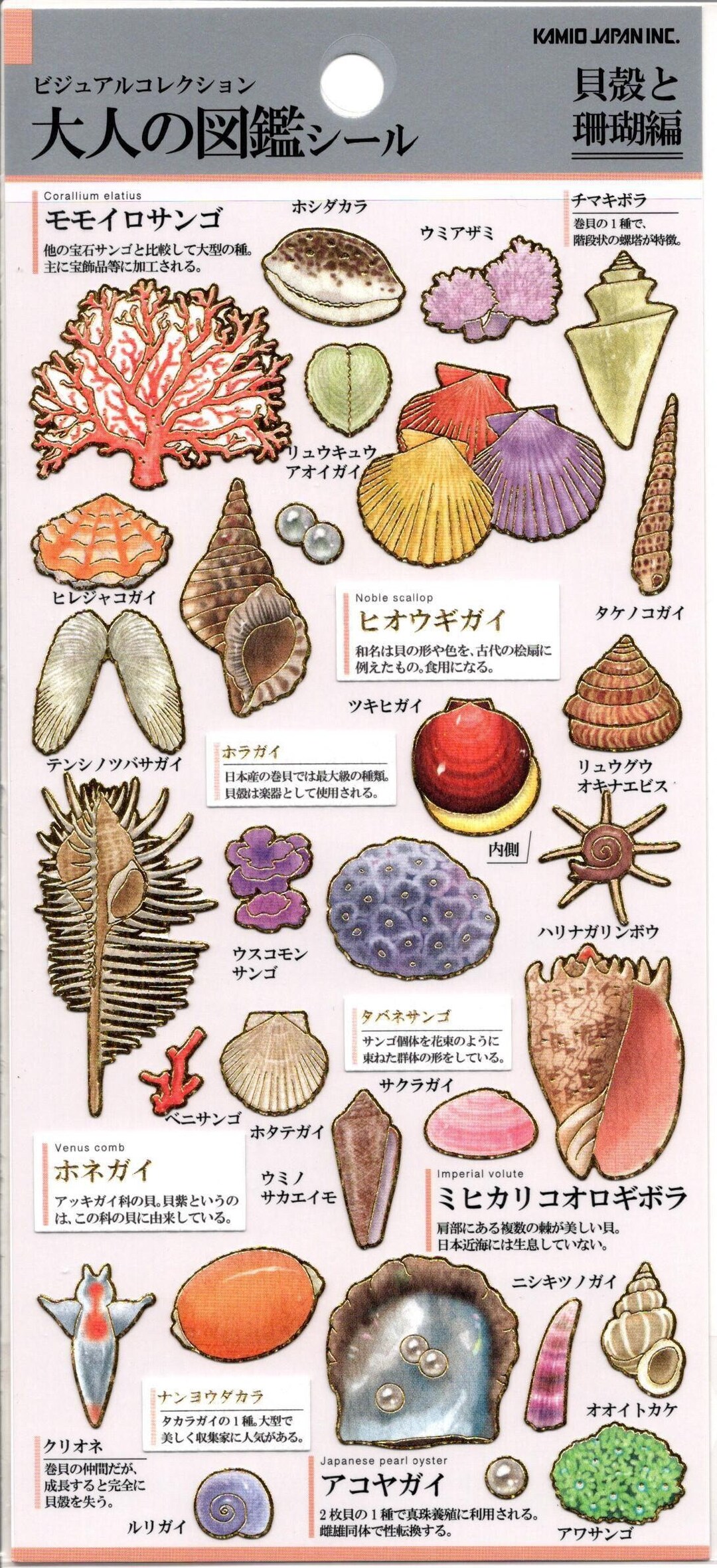 Coral Stickers - Shell Stickers - Paper Stickers - Kamio - Reference # ...
