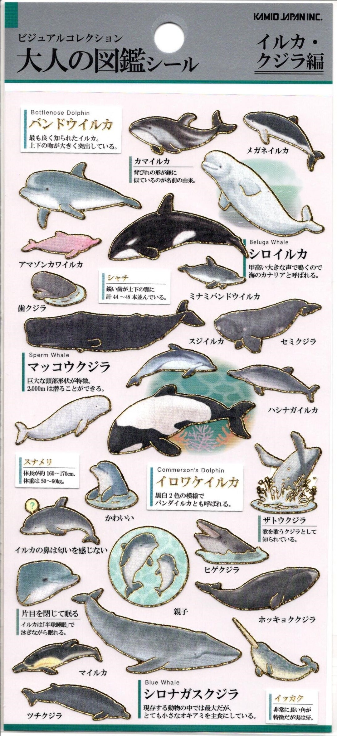 Dolphin Stickers - Whale Stickers - Paper Stickers - Kamio Stickers - Etsy