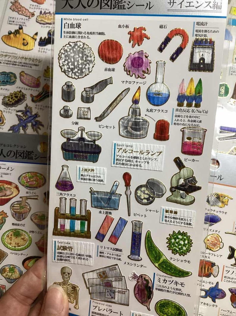 Science Stickers - Project Stickers - Paper Stickers - Kamio Stickers ...
