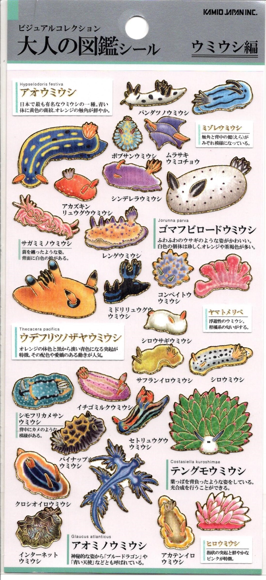 Sea Slug Stickers - Paper Stickers - Kamio Stickers - Etsy