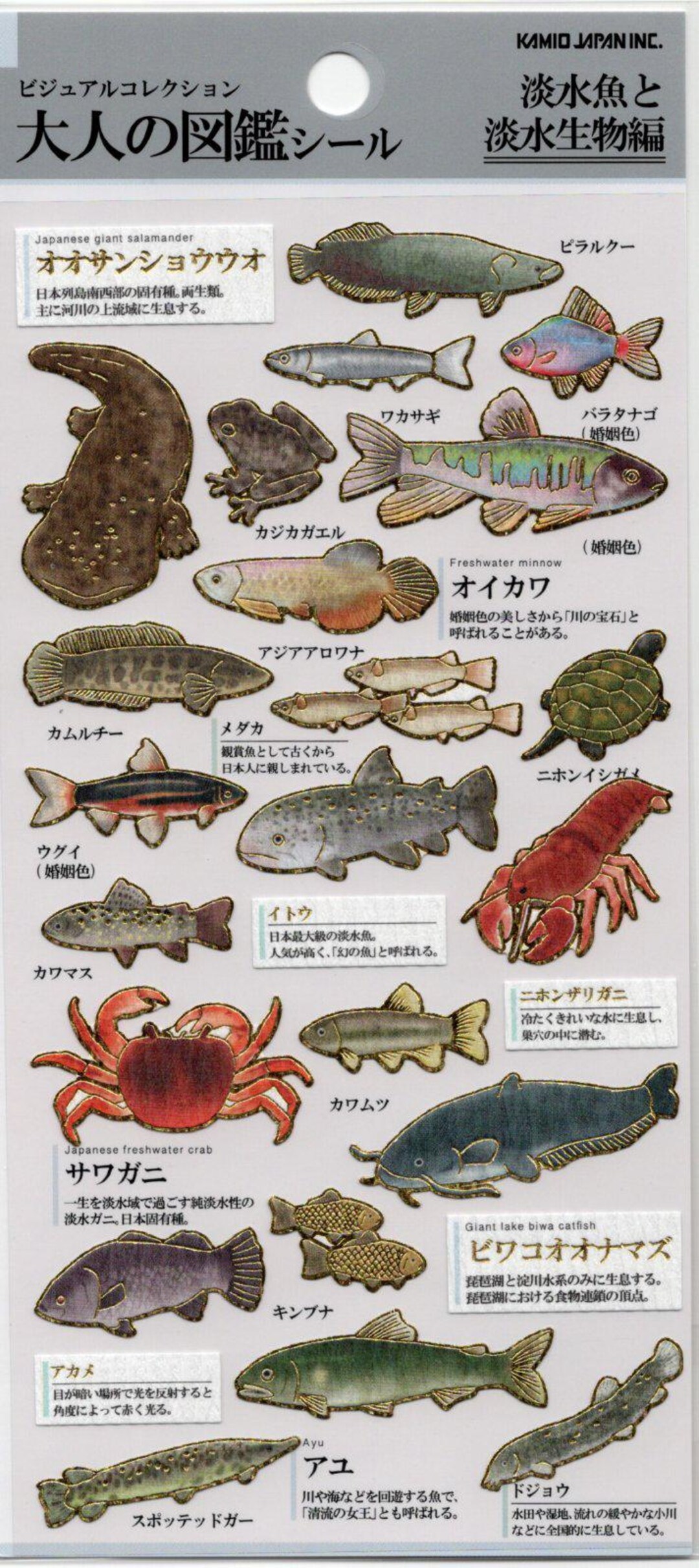 Freshwater Fish Stickers - Paper Stickers - Kamio Stickers - Etsy