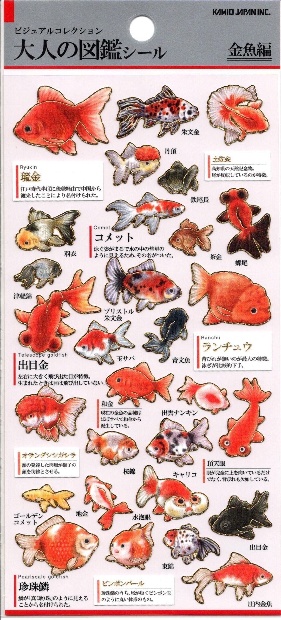 Types Of Goldfish Chart