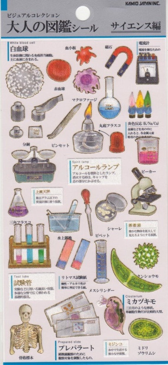 Science Stickers Project Stickers Paper Stickers Kamio | Etsy