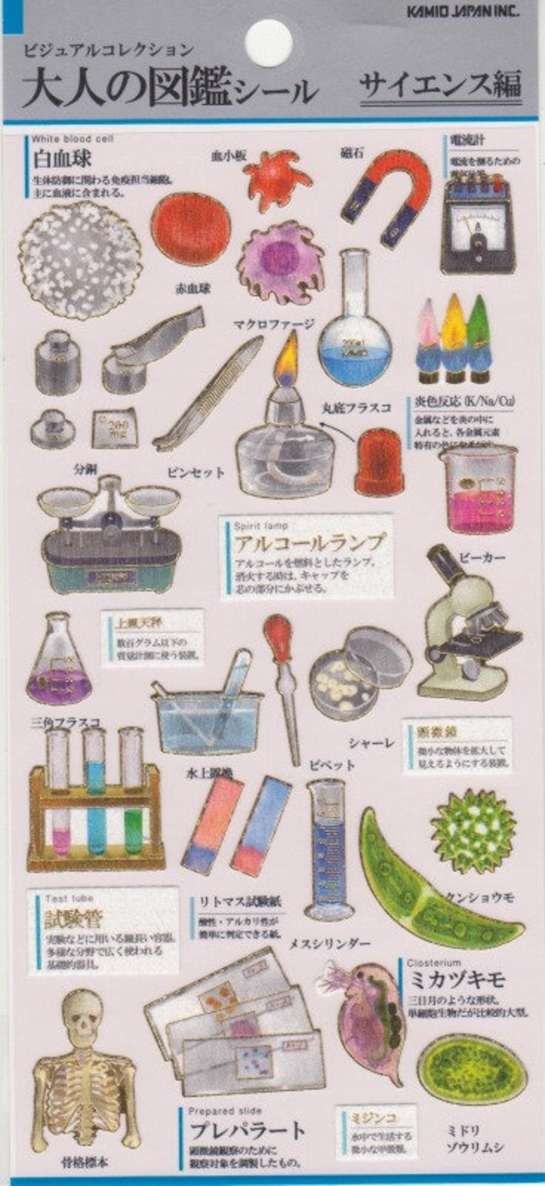 Science Stickers Project Stickers Paper Stickers Kamio - Etsy