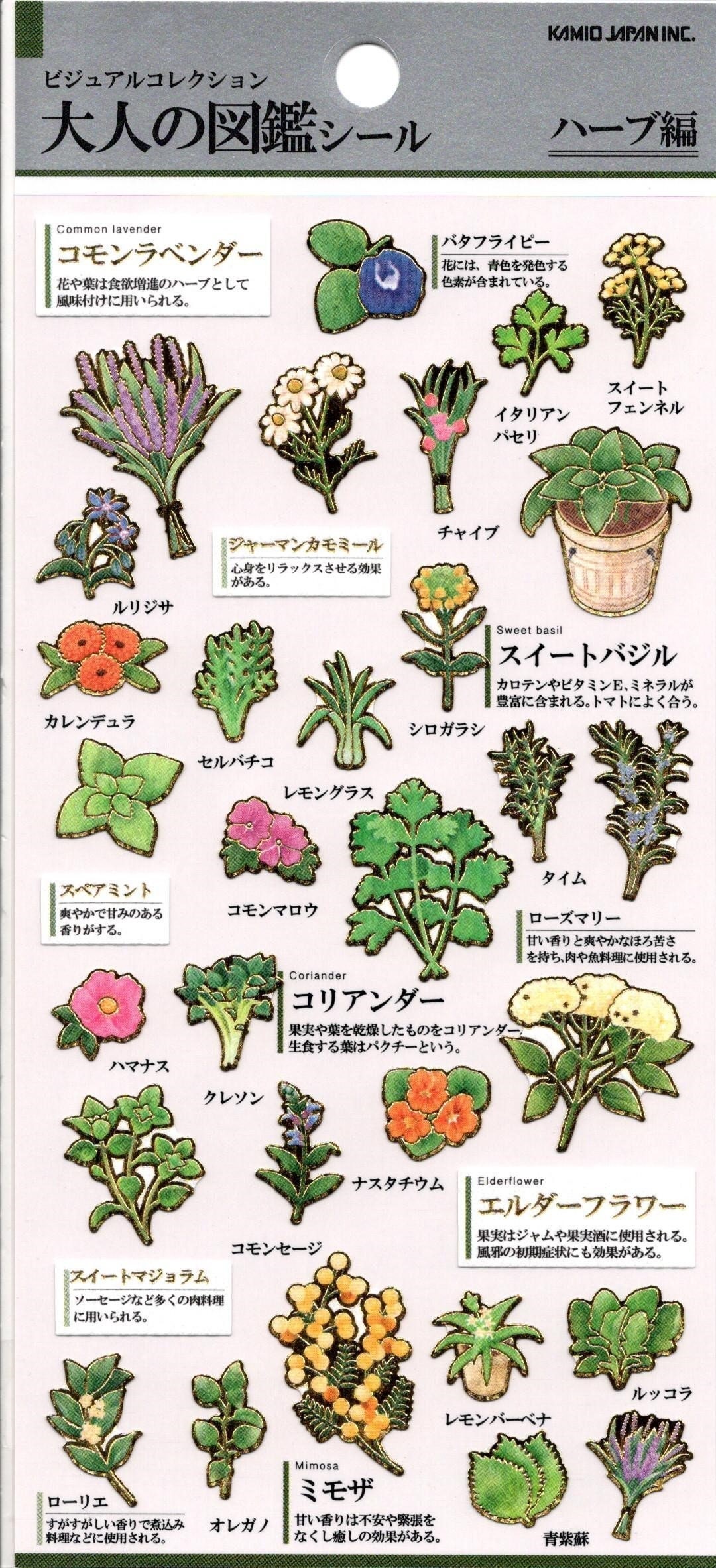 Herb Stickers - Paper Stickers - Kamio Stickers - Etsy