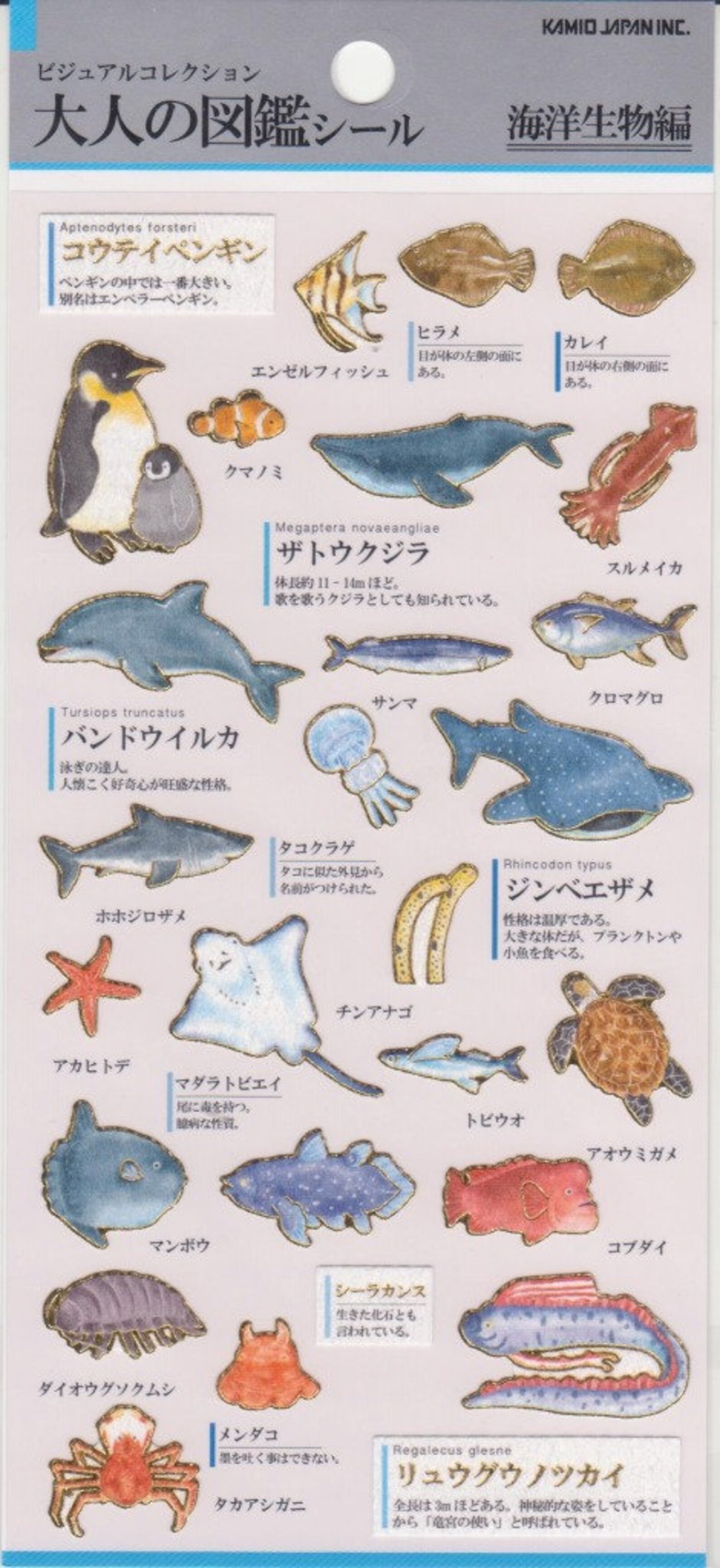 Sea Animal Stickers Ocean Stickers Paper Stickers Kamio | Etsy