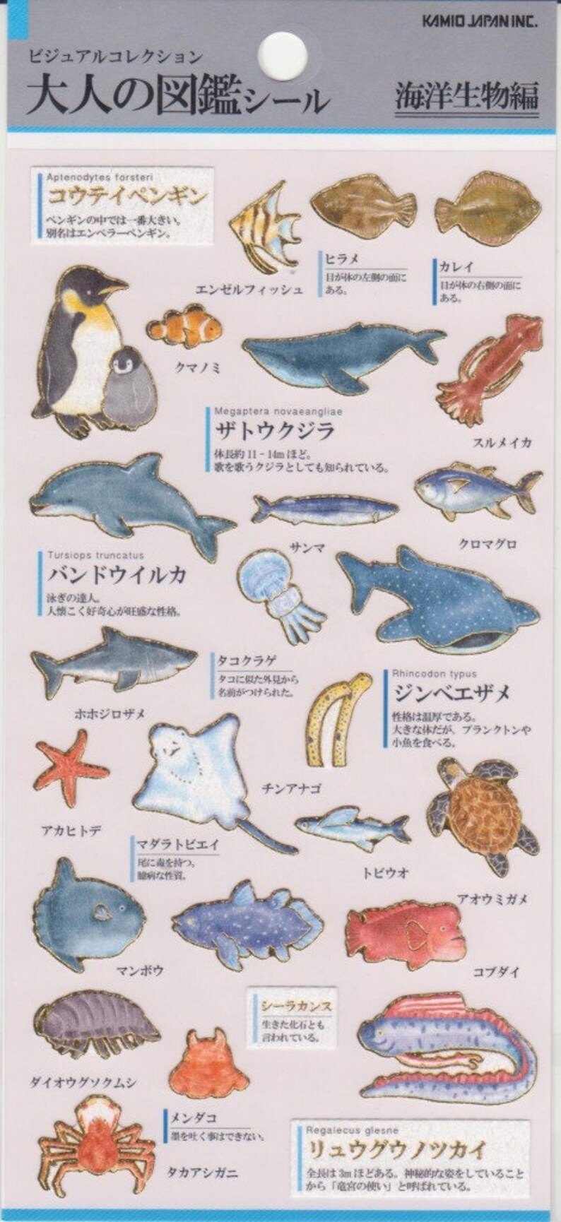 Sea Animal Stickers Ocean Stickers Paper Stickers Kamio | Etsy