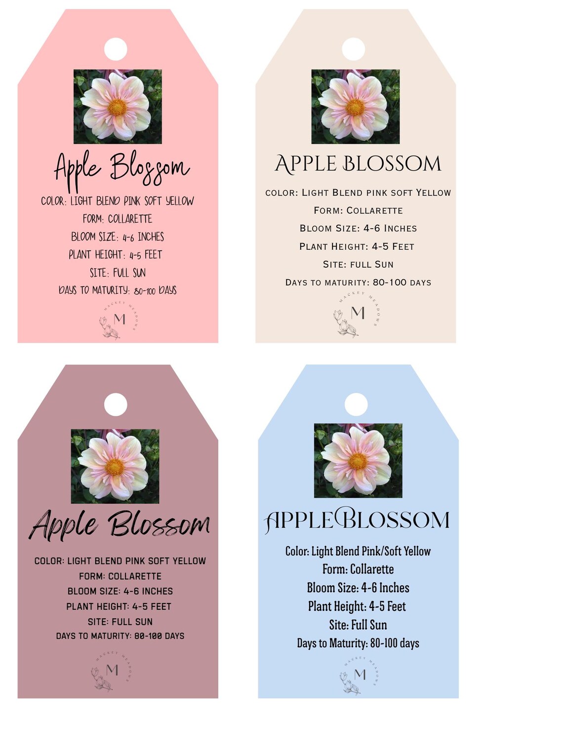 Dahlia/flower/plant Name Cards Tags - Etsy