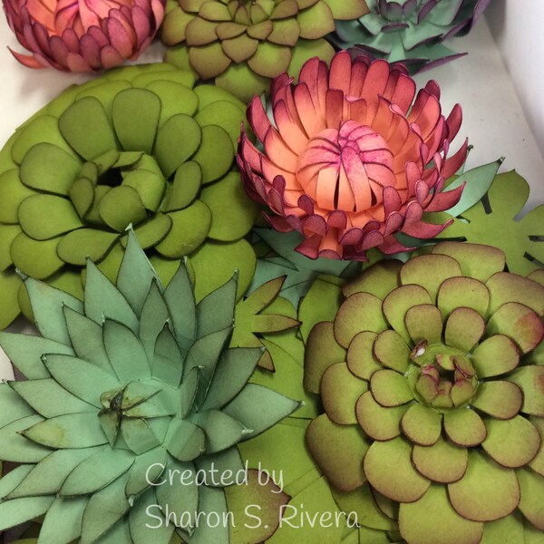 Paper Succulent Pattern - Etsy