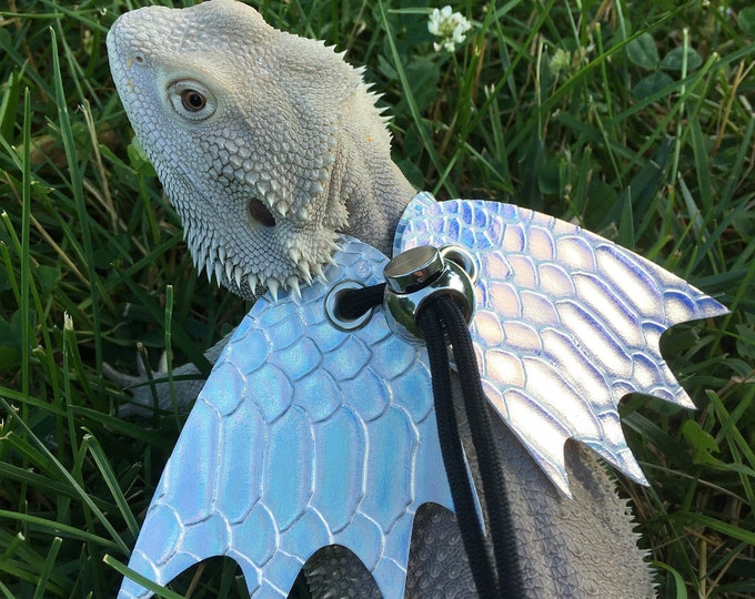 Vegan Leather Lizard Harnessopal Dragon With Wings - Etsy