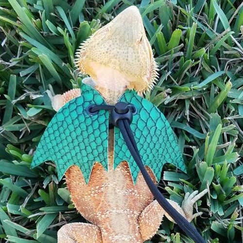 Vegan Leather Lizard Harnessyellow Dragon With Wings - Etsy