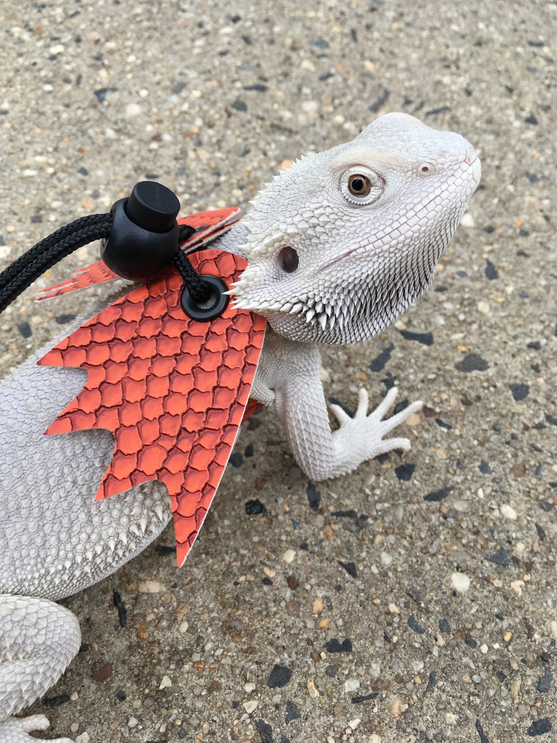 Vegan Leather Lizard HarnessOrange Dragon with Wings | Etsy