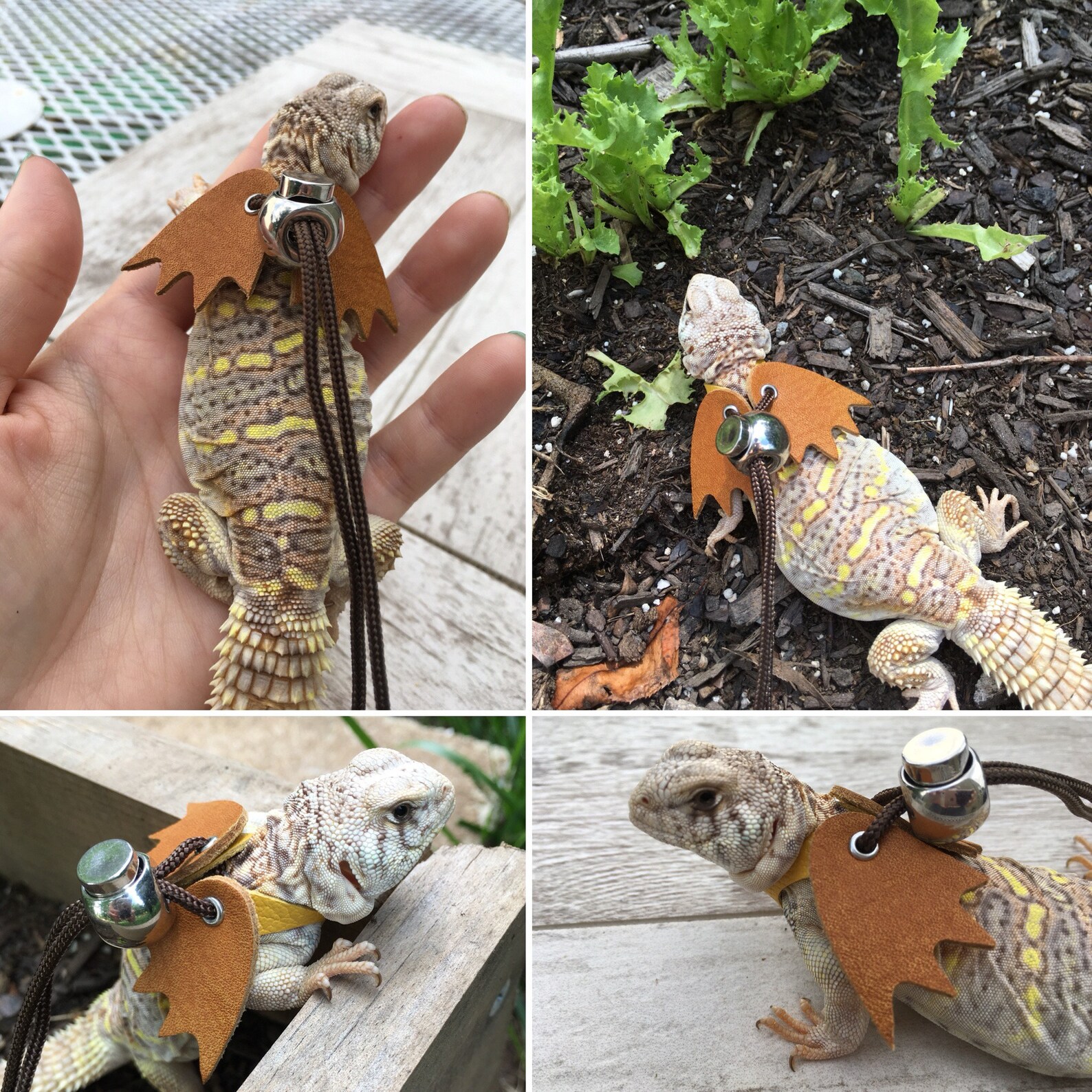 Leather Lizard Harnesshappy Harvest - Etsy