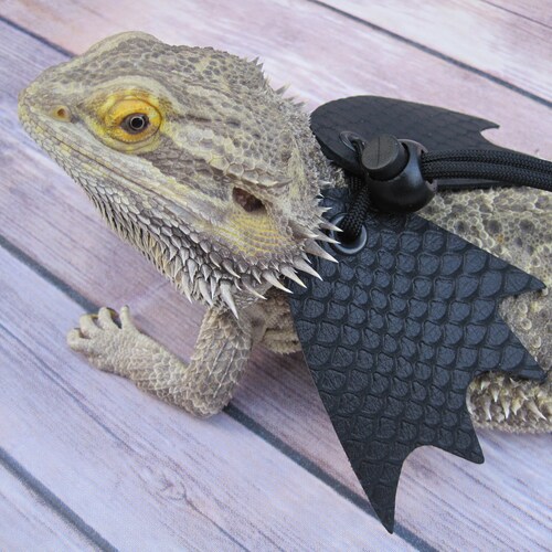 Vegan Leather Lizard Harnessyellow Dragon With Wings - Etsy