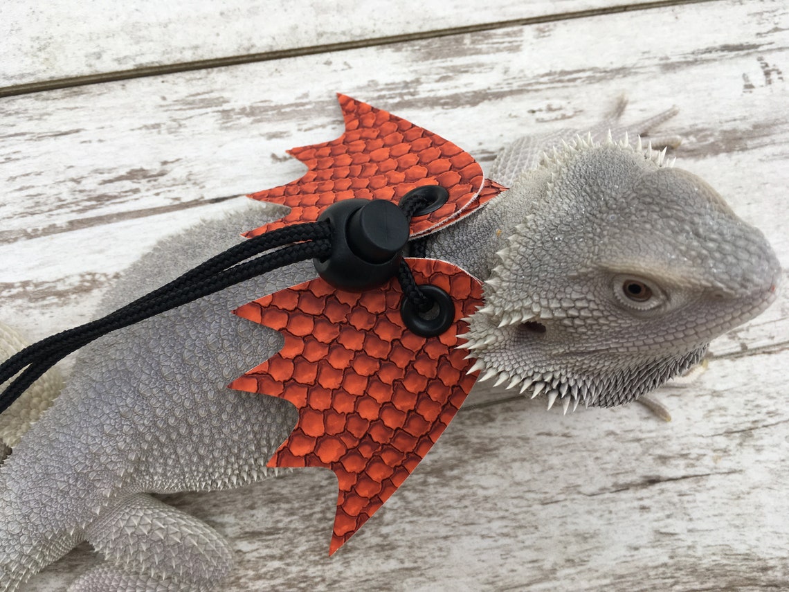 Vegan Leather Lizard HarnessOrange Dragon with Wings | Etsy