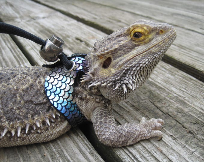 Leather Lizard Harness--aquarius - Etsy