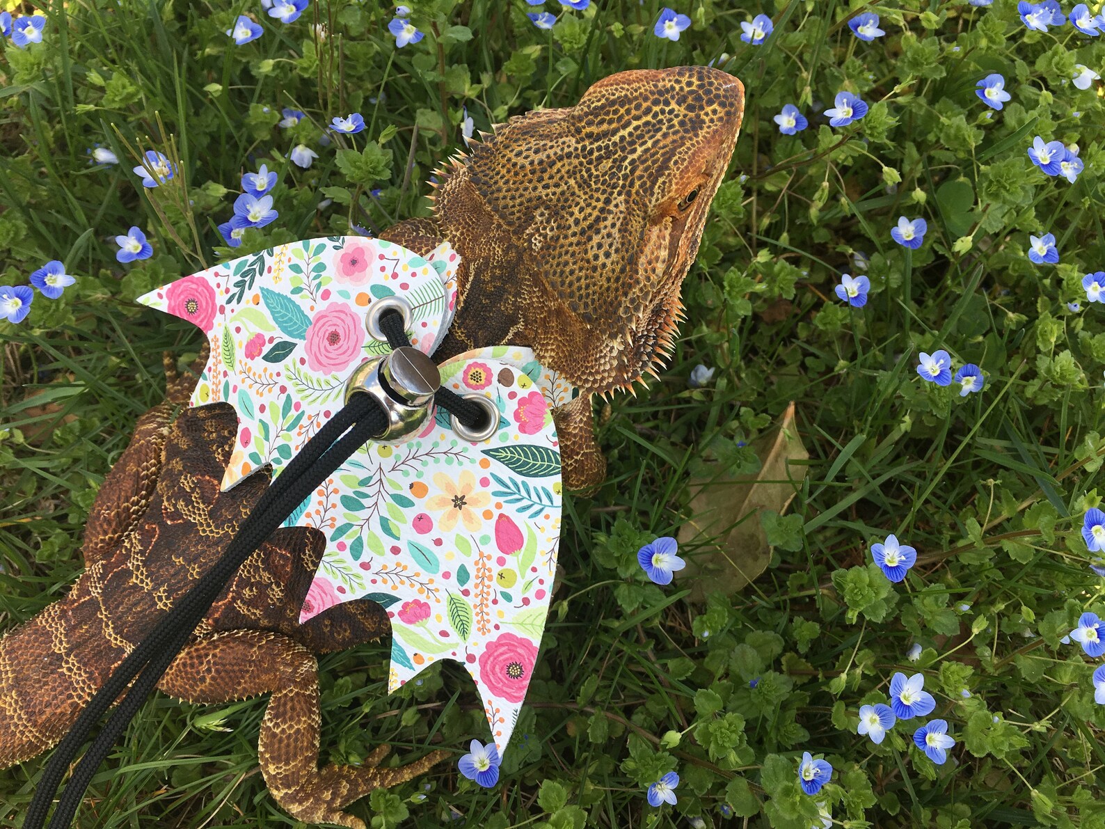 Leather Lizard Harnessspring Fling With Wings - Etsy
