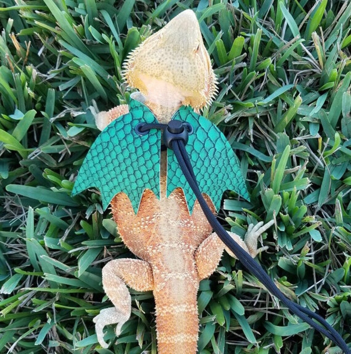 Vegan Leather Lizard HarnessGreen Dragon with Wings | Etsy