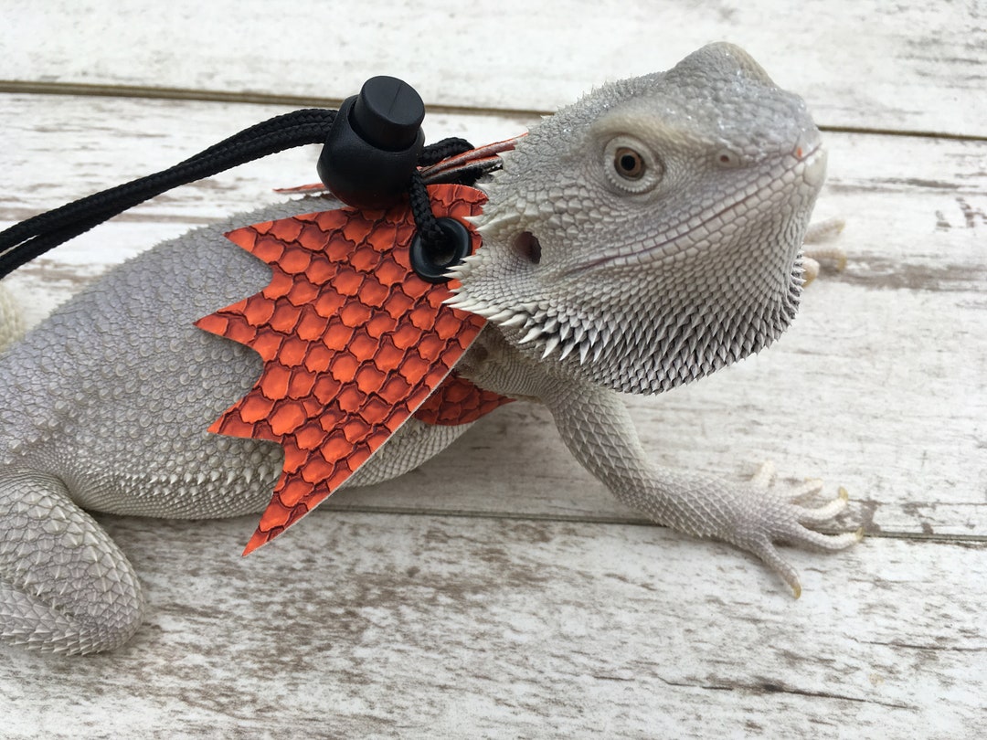 Vegan Leather Lizard Harness--orange Dragon With Wings - Etsy
