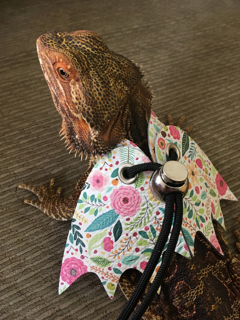 Leather Lizard HarnessSpring Fling with Wings | Etsy